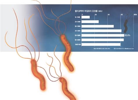 헬리코박터균 위암 발병 인자하루 1~2잔 녹차 도움 당신의 건강가이드 헬스조선