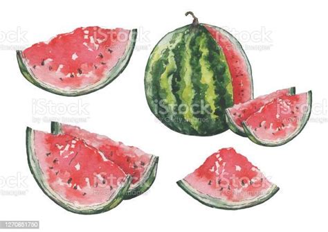 육즙이 잘 익은 수박 조각과 흰색 배경에 고립 된 전체 수박의 여름 세트 카드 초대장 인쇄 배경 배너 장식의 디자인을위한 구성 0명에 대한 스톡 벡터 아트 및 기타 이미지