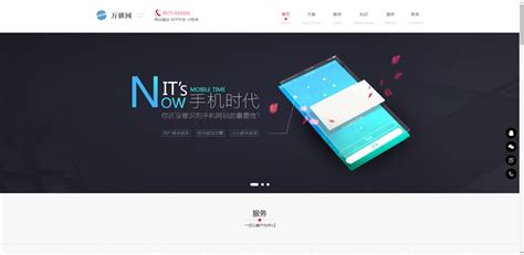 在线演示