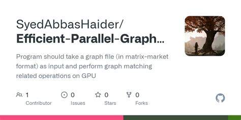 Github Syedabbashaiderefficient Parallel Graph Matching Program