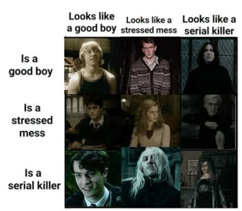 30 Harry Potter Memes Thatll Make You Laugh Harder Than A Tickled