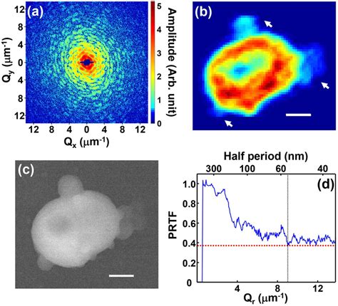 A Coherent X Ray Diffraction Pattern Recorded From An Isolated