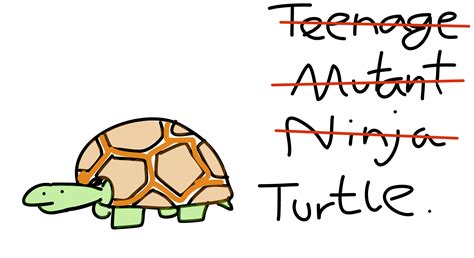 Turtle Meme By Mr Snufuls Memedroid