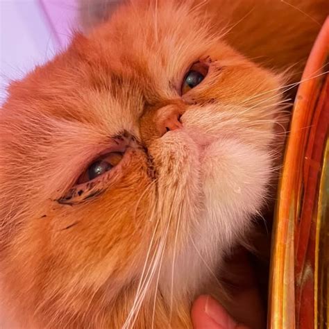 𝓕𝓪𝔂𝓮 Jinfayee • Threads Say More