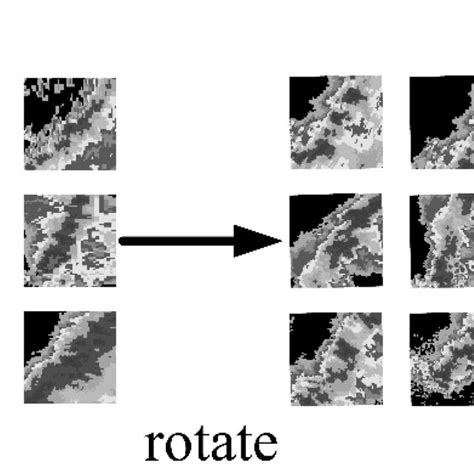 visualization of the data augmentation process in which nine sl samples