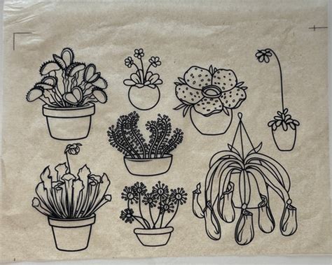 Predator Plants Ceramica Transfers