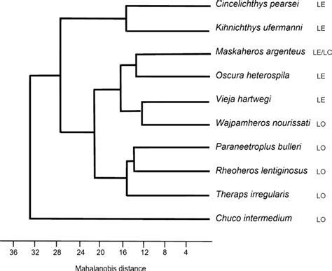 Dendrogram Based On Mahalanobis Distances Cophenetic Correlation