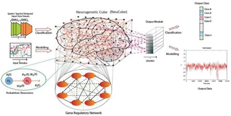 The Neucube Architecture With Its Three Main Modules Input Data