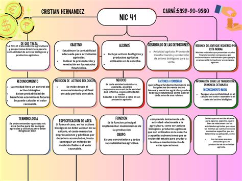 Mapa Conceptual Nic 41 Pdf