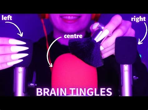 Asmr Mic Scratching - Brain Scratching & Brushing | Hypnotic Asmr No Talking for Sleep - Long Nails