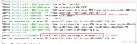 Mybatis的一级、二级缓存开启二级缓存的mapper对应的实体类domain要实现serializable接口 Csdn博客