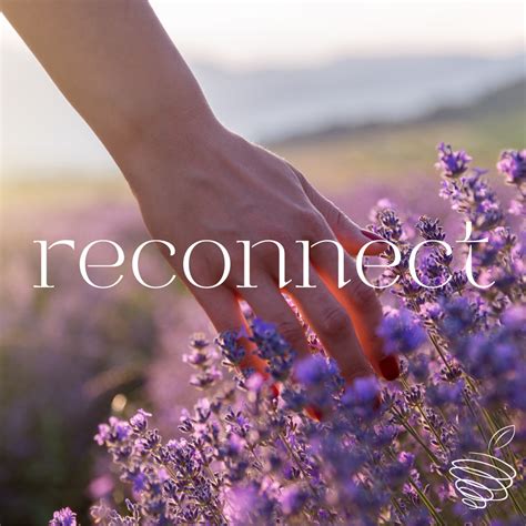 Reconnect — Nourishing Storm