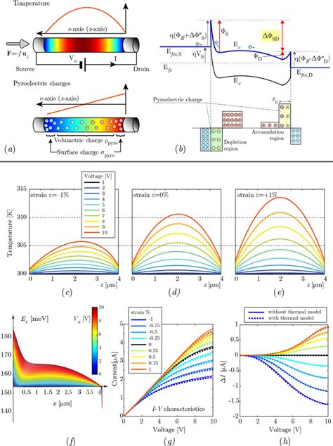 Schematic Pictures And Diagrams Showing The Pyroelectric Effect Inside