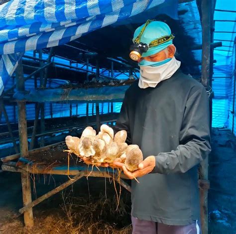 สวัสดีครับ เรือมอันเร รำสาก บุญกฐิน ประเพณีลอยกระทงปี67วัดปราสาทบ้านจานรย์ ต บ้านจารย์ อ สังขะ