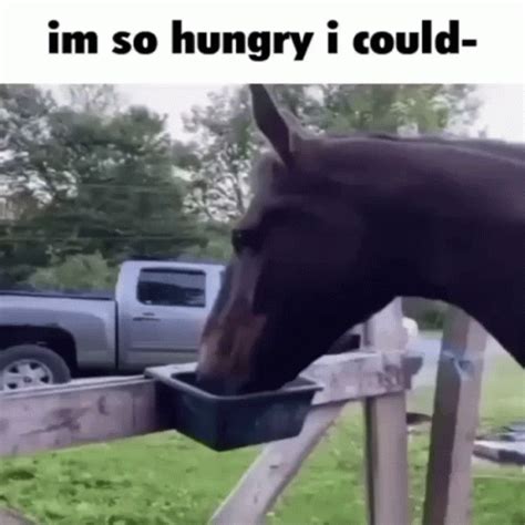 Starving Meme