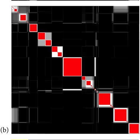 ordered co clustering matrix with core groups co clustering matrix