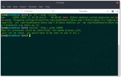 Cómo utilizar el nuevo modo offline de la CLI en Jboss EAP El array de Jota