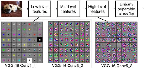 Deep Learning Noter Convolutional Neural Networks 8 And 1110 2021