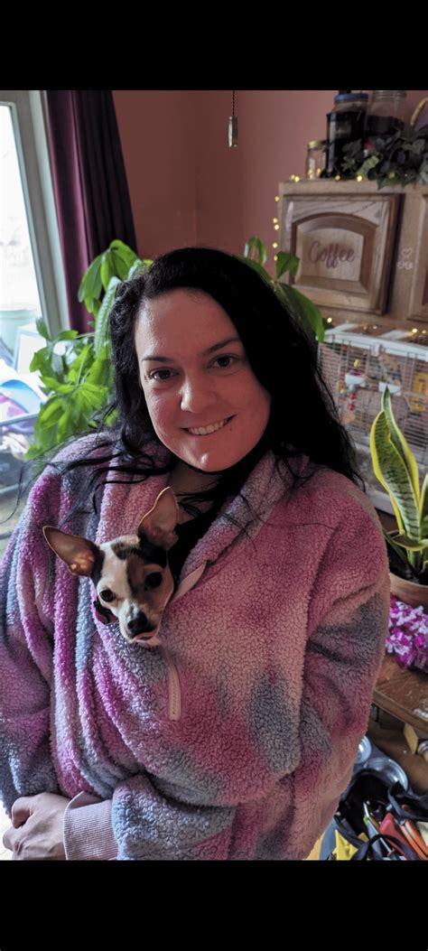 Gemini Is A Cuddle Bug🫂🩷 Rtoyfoxterriers Gemini Is A Cuddle Bug🫂🩷 Rtoyfoxterriers