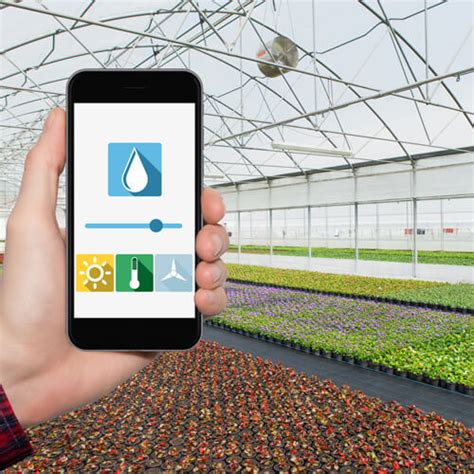 8 Types Of Sensors For Best Greenhouse Remote Monitoring Systems Renke