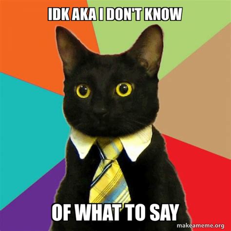 Idk Aka I Dont Know Of What To Say Business Cat Meme Generator
