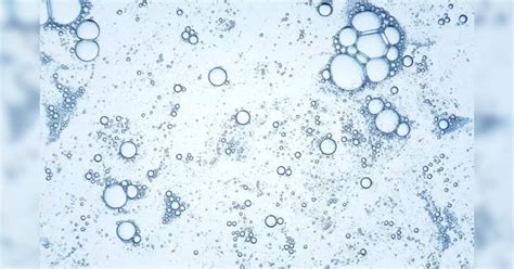 Iisc Researchers Design Synthetic Peptide Capable Of Poisoning Antibiotic Resistant Bacteria