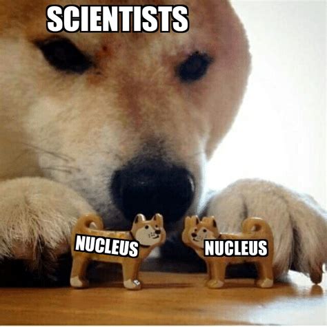 210 Best Nuclear Fusion Images On Pholder Interestingasfuck Touhou