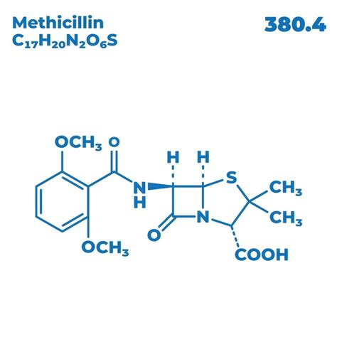 Beta Lactamase Penicillin Over 114 Royalty Free Licensable Stock Illustrations And Drawings