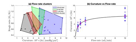 flow rate clustering and curvature dependence aggregated across lower