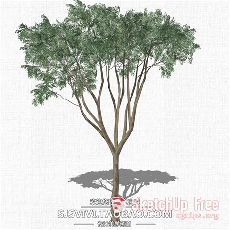 911 Tree Sketchup Model Free Download
