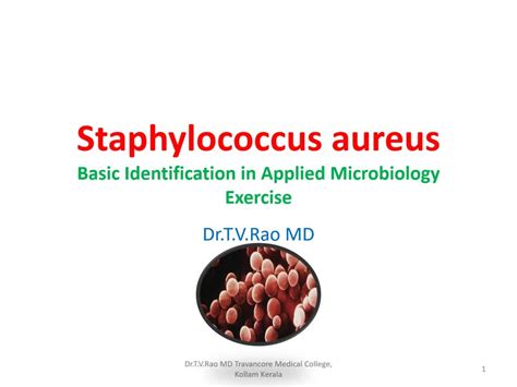 Dr T V Rao På Linkedin Staphylococcus Aureus Basic Identification In