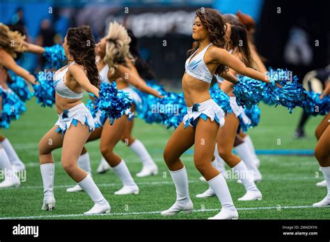 Panthers Cheerleaders