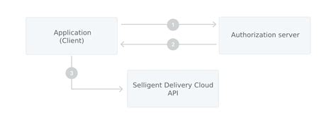 Oauth Authentication Selligent Developer Portal