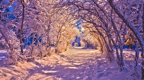 Christmas Light Snow Wallpapers Wallpaper Cave