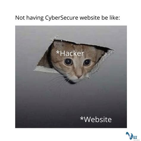Vizz Web Solutions Pvt Ltd On Linkedin Cybesecurity Programmers