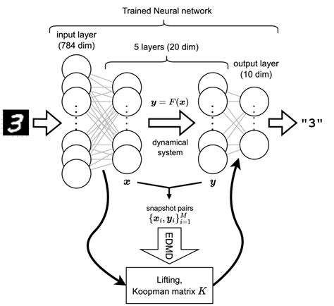 koopman based deep learning for nonlinear system estimation ai