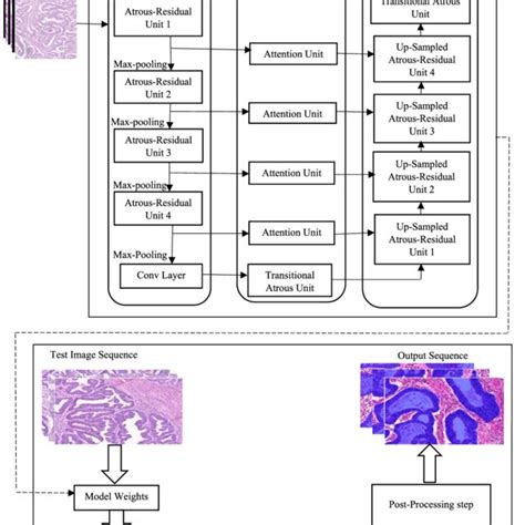 Overview Of The Proposed Gland Segmentation Model Download