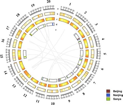 Qtls For Seed Appearance Quality In Three Environments A Physical