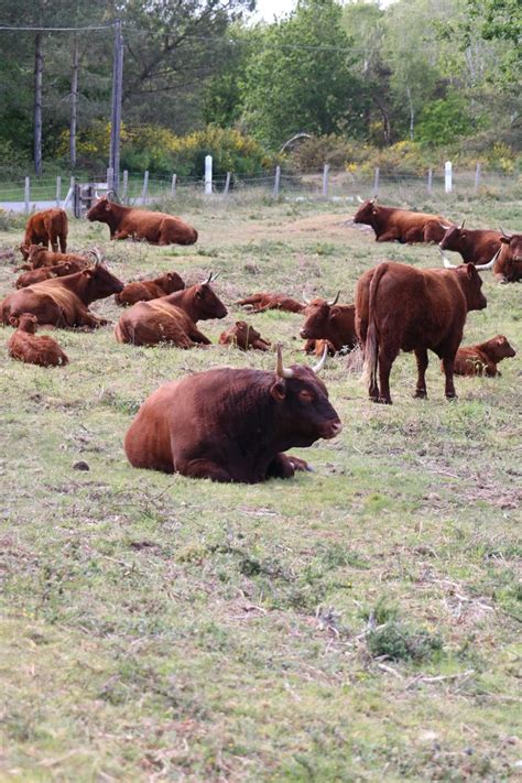 Idele - Agriculteurs de Bretagne