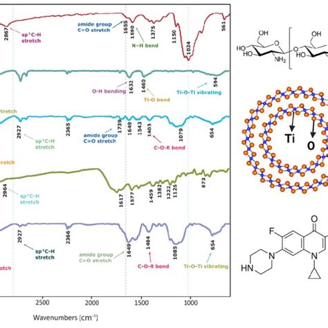 Ftir Spectra Of A Chitosan B Tio2 Nts C Cip D Tio2 Cip And