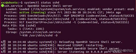 Vscode连接linux虚拟机 环境配置和常见问题解决方案vscode小猪仔d1 Gitcode 开源社区