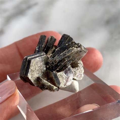 Muscovite Mica Flowers From Joan Teodoro Mine Linopolis Brazil