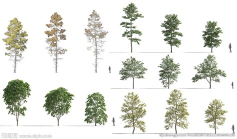 模型树设计图psd分层素材psd分层素材设计图库昵图网