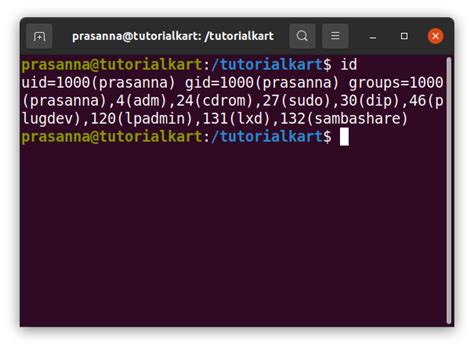 Linux Get User Id