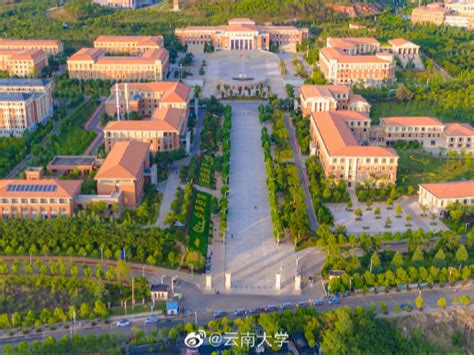 招生就业 云南大学昌新国际艺术学院