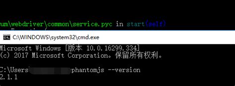 Message Phantomjs Executable Needs To Be In Path 解决方法 Csdn博客