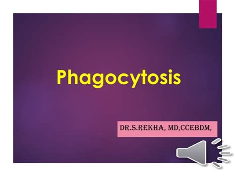 Steps Of Phagocytosis Function Of Neutrophil Ppt