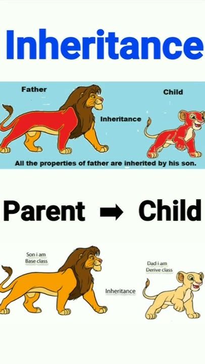 What Is Inheritance In Oops 🔥 Inheritance Class And Object Shorts