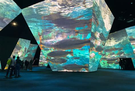 Experience The Bbc Earth Experience The View From Chelsea