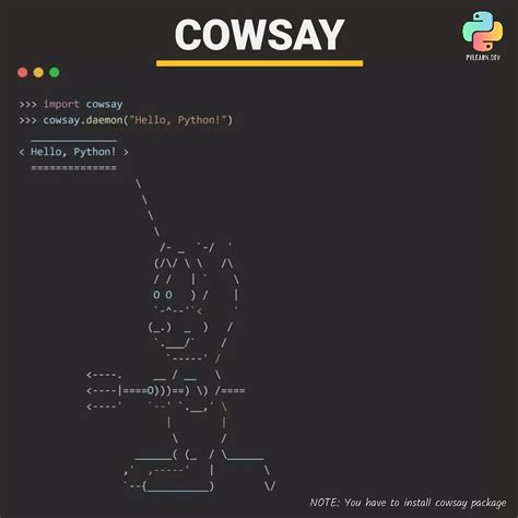 Python C Cyber Security Codebitdev • Instagram Photos And Videos